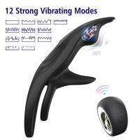 China Reusable Silicone Cock Ring for Men 2 Motors 12 Vibration Modes USB Magnetic Charging Wholesale for sale