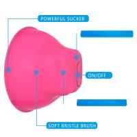 China Women Breast Vibrating Sex Toy Silicone 12 Modes IPX7 Waterproof USB Rechargeable Nipple Sucking Massager for sale