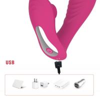 China Medical Silicone Rechargeable Sucking Vibrator 10 Vibration Modes Purple Rose Red Female Sex Toy for sale