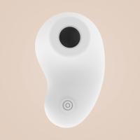 China Clitoral Sucking Vibrator for Women Medical Silicone 10 Speeds Rechargeable Waterproof Sex Toy for sale