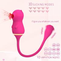 China Body Safe Silicone G Spot Sucking Vibrator 10 Frequency Modes USB Rechargeable Adult Sex Toy for Women for sale