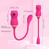 China Body Safe Silicone G Spot Sucking Vibrator 10 Frequency Modes USB Rechargeable Adult Sex Toy for Women for sale