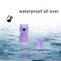 China Body Safe Silicone G Spot Sucking Vibrator 10 Frequency Modes USB Rechargeable Adult Sex Toy for Women for sale