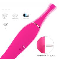 China Medical Silicone Breast Nipple Clitoris Vibrator with 9 Modes 244mm Sucking Massager for Women for sale