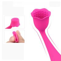 China Medical Silicone Breast Nipple Clitoris Vibrator with 9 Modes 244mm Sucking Massager for Women for sale