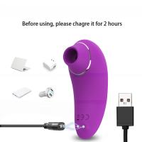 China USB Rechargeable Clitoral Vacuum Stimulator Silicone Female Vibrator 102x60x42mm for sale