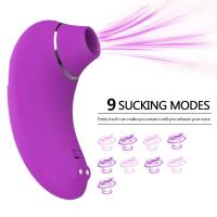China USB Rechargeable Clitoral Vacuum Stimulator Silicone Female Vibrator 102x60x42mm for sale