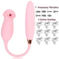 China 2 in 1 Dog Dildo with Sucking Vibrator Clitoris Nipple Sucker Anal Plug USB Rechargeable IP7 Waterproof 385mm for sale