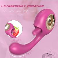 China Silicone Rechargeable Love Egg Vibrator 9 Modes G Spot Clitoral Stimulator for Women for sale