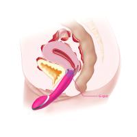 China USB Rechargeable Silicone Rabbit Vibrator G Spot Clitoral Massager 12 Speed IPX7 Waterproof Adult Sex Toy for sale
