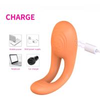 China Wireless Remote Vibrating Panties with Clitoral Sucker 10 Modes Two Motor Sex Toy for Women for sale