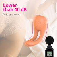 China Wireless Remote Vibrating Panties with Clitoral Sucker 10 Modes Two Motor Sex Toy for Women for sale