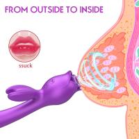 China Wholesale Rose Clitoral Sucking Rabbit Vibrator 10 Modes Telescopic Wand for Women for sale