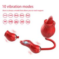 China 9th Generation Tongue Licking Electric Shock Vibrator with 10 Modes Silicone ABS 265g Adult Sex Toy for Women for sale