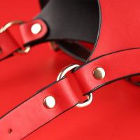 China Adjustable PU Leather Puppy Muzzle BDSM Mouth Restraint Kit 144g Bondage Gear for Men Women Pet Play for sale