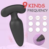China Remote Control Silicone Anal Plug Vibrator 10 Modes Prostate Massager for Men Women for sale
