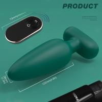 China Remote Control Silicone Anal Plug Vibrator 10 Modes Prostate Massager for Men Women for sale