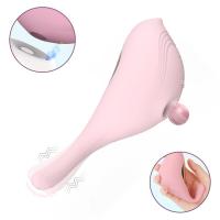 China Medical Silicone Clitoral Sucking Bird Vibrator 10 Speeds Waterproof Rechargeable Sex Toy for Women for sale