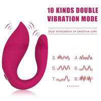 China Women Wearable Panty Vibrator Wireless Remote Control Clitoral Vibrator Silicone 10 Modes USB Rechargeable for sale