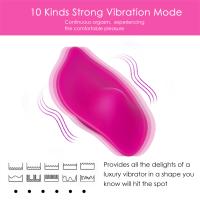 China Rechargeable Silicone Panty Vibrator IPX7 Waterproof Wearable Adult Sex Toy for Women 40dB Quiet for sale