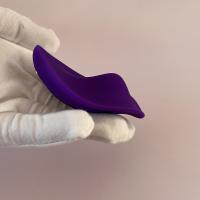 China Rechargeable Silicone Panty Vibrator IPX7 Waterproof Wearable Adult Sex Toy for Women 40dB Quiet for sale