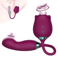 China Waterproof Rose Vibrator 10 Speeds 2 in 1 Suck and Vibrate Silicone Clit Stimulator for Women for sale