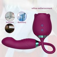 China Waterproof Rose Vibrator 10 Speeds 2 in 1 Suck and Vibrate Silicone Clit Stimulator for Women for sale