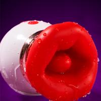 China Rose Clitoral Licking Vibrator with 10 Suction Modes USB Rechargeable G Spot Toy for Women for sale