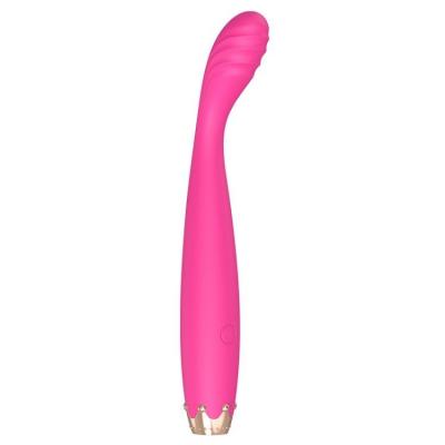 China USB Rechargeable G Spot Vibrator 10 Speeds Silicone Clitoral Massager for Women 18cm for sale