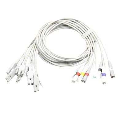 China Motorola Compatible 10 Wire Full Range Dynamic Medical Consumables 1.2m for Patient Monitor for sale
