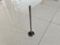 China Engine Intake Valve Exhaust Valve Parts 252-7802 224-3030 Customized for sale