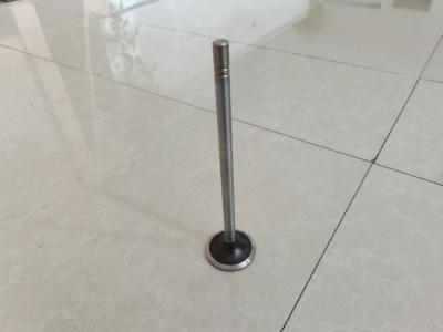 China Engine Intake Valve Exhaust Valve Parts 252-7802 224-3030 Customized for sale