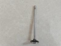 China Engine Intake Valve Exhaust Valve Parts 252-7802 224-3030 Customized for sale