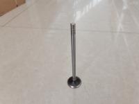 China Diesel Engine Valve Exhaust 2243030 2481467 for Caterpillar C11 C13 ACERT for sale