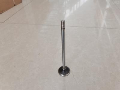 China Diesel Engine Valve Exhaust 2243030 2481467 for Caterpillar C11 C13 ACERT for sale