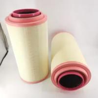 China Engine Air Filter Replacement Parts AF25767 3840036 24424482 for sale