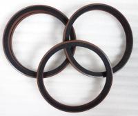 China Deutz Engine Crankshaft Rear Oil Seal 04907773 04253333 for BFM1013 Diesel for sale