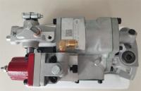 China Durable Diesel Fuel Injection Pump Customized 3019487 ES34A01 457798 for sale