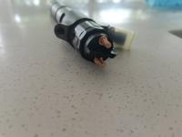 China Diesel Fuel Injector Nozzle Assy 0445120224 0986AD1010 for WEICHAI WD10 Cummins Kamaz Engine for sale