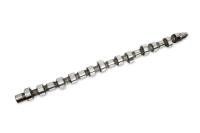 China ISUZU EXZ2001 6WG1 CAMSHAFT  1- 12511255- 1  1125112551 JIUWU POWER for sale