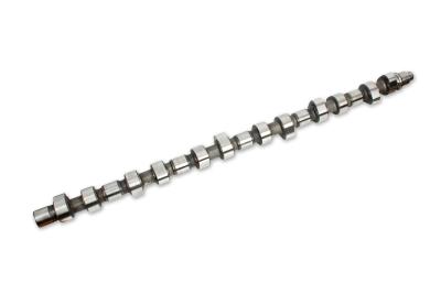 China ISUZU EXZ2001 6WG1 CAMSHAFT  1- 12511255- 1  1125112551 JIUWU POWER for sale