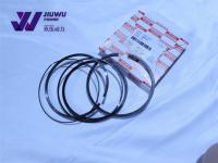 China 6HK1 ISUZU Spare Parts 8-98017166-0 8980171660 Piston Ring for sale