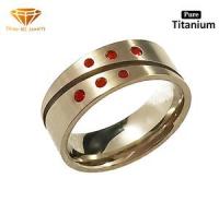 China Fashion Jewelry Silver Jewelry Stainless Steel Pure Titanium Body Jewelry Ruby CZ Cuting Titanium Weddiing Ring Tr2029 for sale