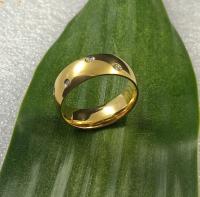 China High Quality Fashion Jewelry CZ 18K Gold PVD Titanium Ring Titanium Weding Band Tr2002 for sale