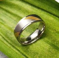 China Titanium Ring for Men Jewelry Tungsten Band Titanium Carving IP 18K Gold Wedding Ring Tr1906 for sale