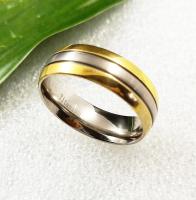 China Body Jewelry Titanium Gold Plating Ring Titanium Wedding for Men Titanium Ring for Women Tr1927 for sale