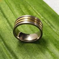 China Top Quality Finger Ring Fashion Jewelry Titanium Wedding Ring Tr1928 for sale