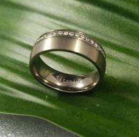 China Silver Jewelry Tungsten Ring Titanium Jewelry Pure Titanium CZ Ring Jewelry Tr1949 for sale