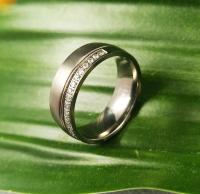China Silver Jewelry Tungsten Ring Titanium Jewelry Pure Titanium CZ Ring Jewelry Tr1949 for sale