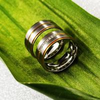 China Shineme High Quality Jewelry Pure Titanium Jewelry Between Silver and Gold Plating Titanium Wedding Band Tr1908 for sale